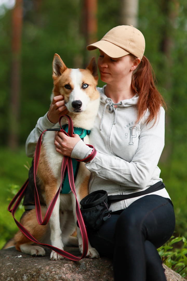 Jermu | Viipurin Koirat ry