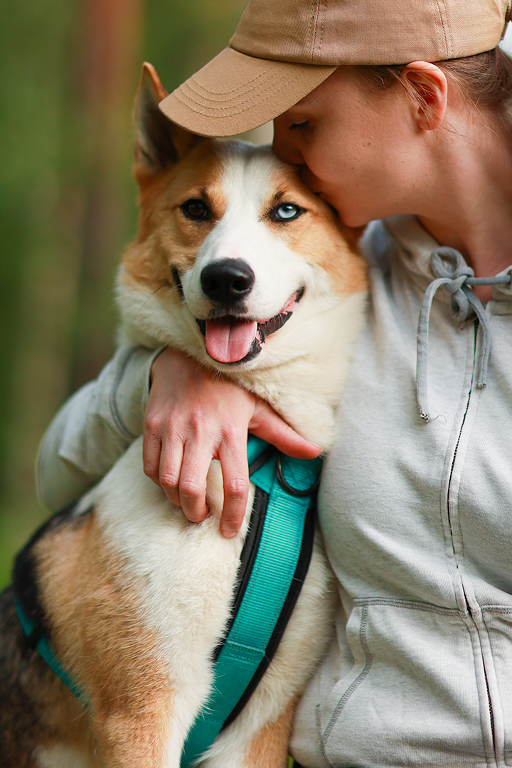 Jermu | Viipurin Koirat ry