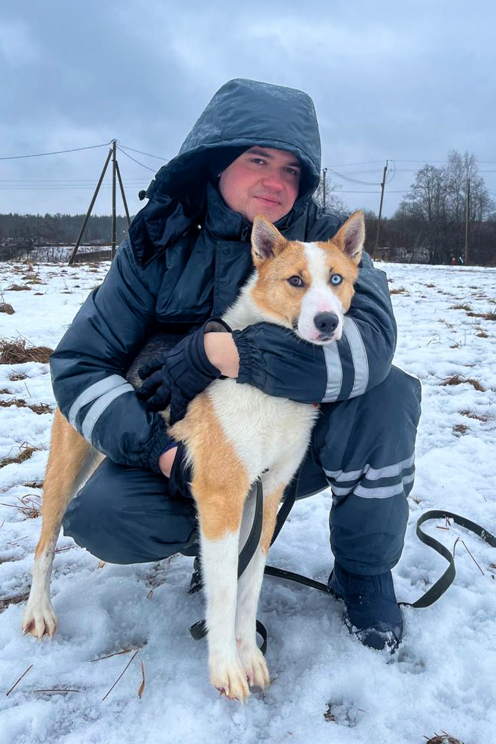 Jermu | Viipurin Koirat ry