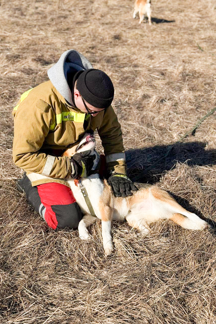 Jermu | Viipurin Koirat ry