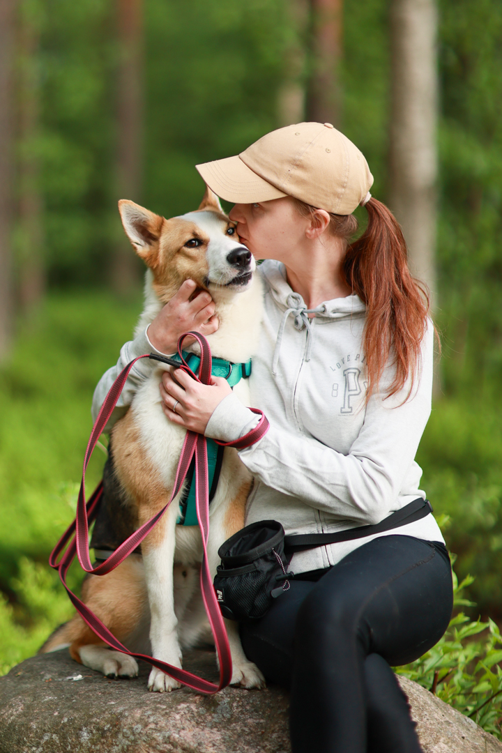 Jermu | Viipurin Koirat ry