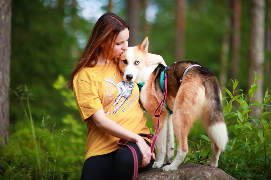 Jermu | Viipurin Koirat ry